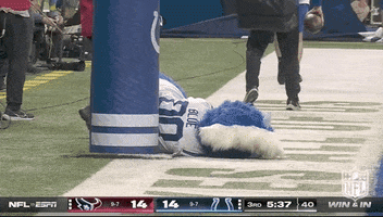 Indianapolis Colts GIFs on GIPHY - Be Animated