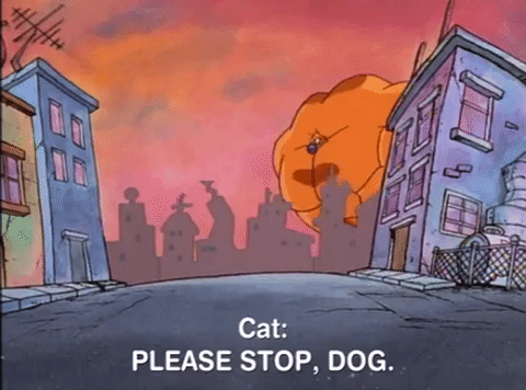 Cat-please GIFs - Get the best GIF on GIPHY