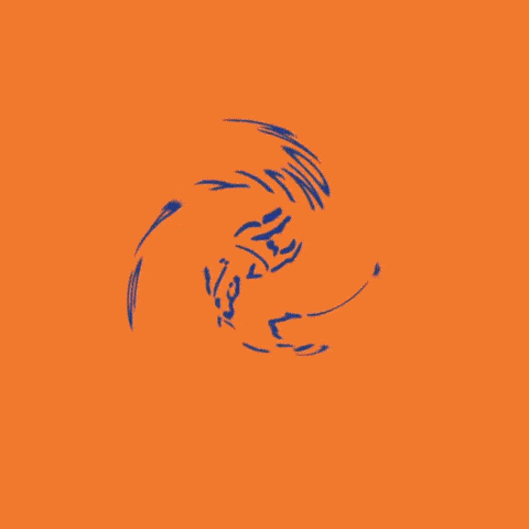 Polo Team GIFs - Get the best GIF on GIPHY