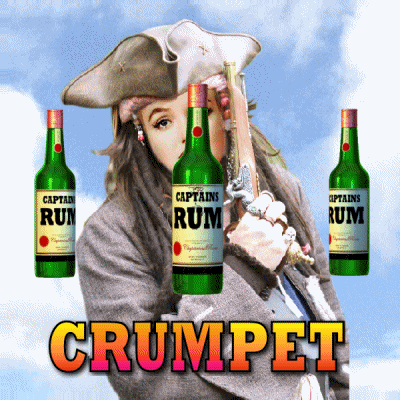 National Rum Day GIFs - Find & Share on GIPHY