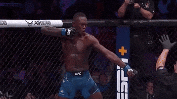 Every Epic UFC287 GIF You Need To See! by Sports GIFs | GIPHY