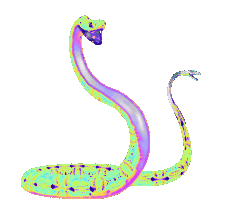 Snake Reptile Sticker by Dinaaaaaah for iOS & Android | GIPHY