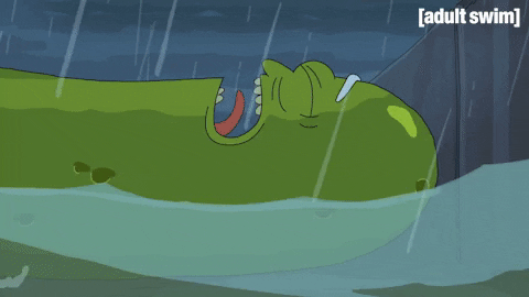 Pickle Rick GIFs - Find & Share on GIPHY