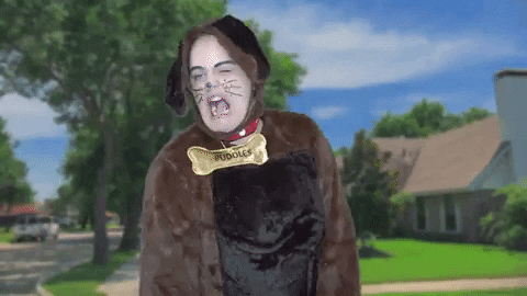 Chasing My Tail GIFs - Get the best GIF on GIPHY