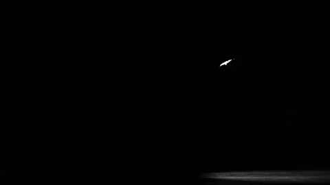 Swinging Light GIFs - Get the best GIF on GIPHY