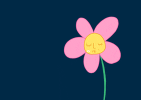 Dancing Flower GIFs - Find & Share on GIPHY