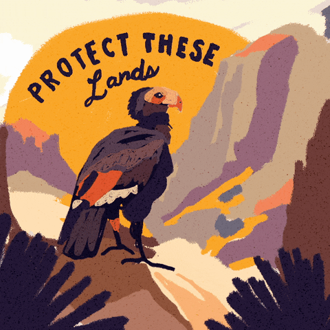 Honoring Indigenous Peoples’ Day by INTO ACTION | GIPHY