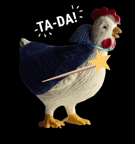 Chicken GIF - Find & Share on GIPHY