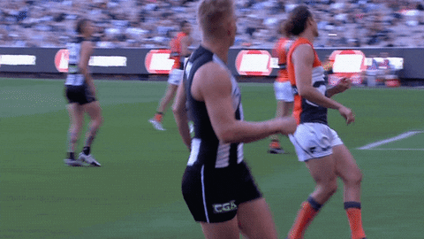 Football Win GIF by CollingwoodFC - Find & Share on GIPHY