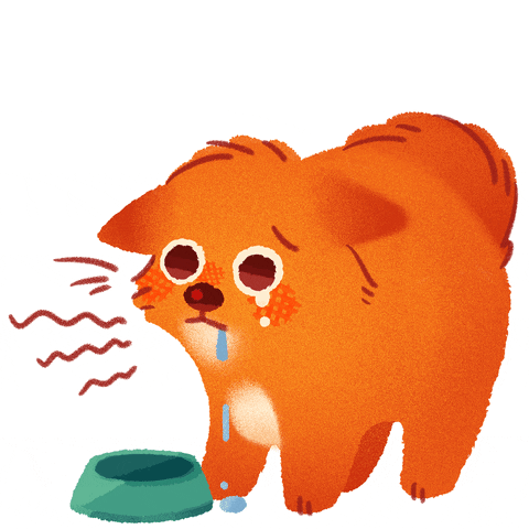 Tummy Rumble GIFs - Get the best GIF on GIPHY