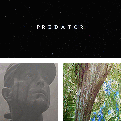 Predator Arnold GIFs - Find & Share on GIPHY