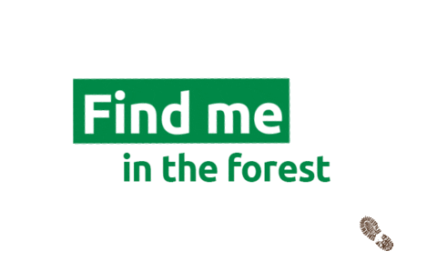 Forest Trees Sticker by Forestry England for iOS & Android | GIPHY