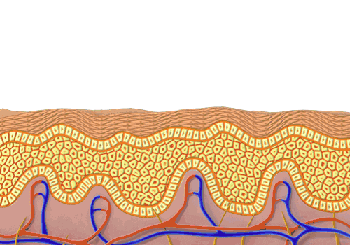 Dermabrasion GIFs - Get the best GIF on GIPHY