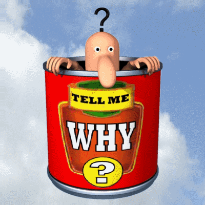 Why Would You Do That GIF - Find & Share on GIPHY
