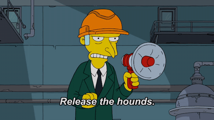 Animation Domination GIF - Find & Share on GIPHY