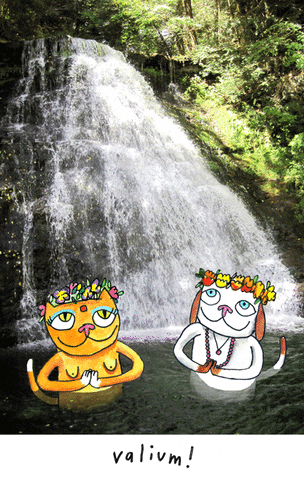 Drug Waterfall GIFs - Get the best GIF on GIPHY