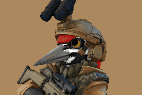 Night Vision GIFs - Find & Share on GIPHY