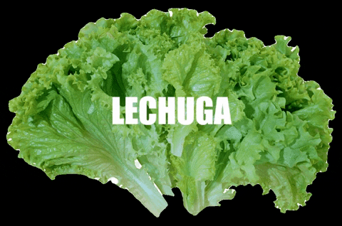 Collard-green-leaf GIFs - Get the best GIF on GIPHY