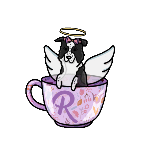 Border Collie GIFs on GIPHY - Be Animated