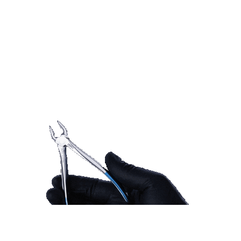 TBS Instruments GIFs on GIPHY - Be Animated