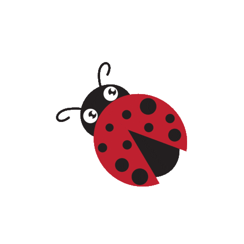 Lady Bug Spring Sticker by Bozikis Shoes for iOS & Android | GIPHY