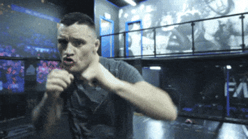 Sbg GIFs - Get the best GIF on GIPHY