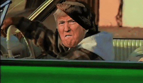 Billy Kidd GIFs - Get the best GIF on GIPHY