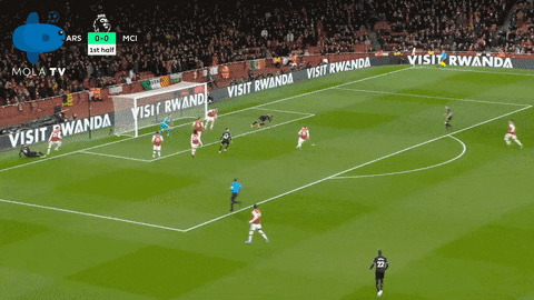 Premierleague GIF by MolaTV - Find & Share on GIPHY