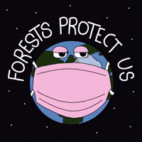 Protect-the-forests GIFs - Get the best GIF on GIPHY