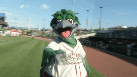 Great Lakes Loons GIF - Find & Share on GIPHY