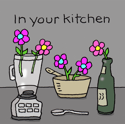 Where did Chippy go? by Chippy the Dog | GIPHY