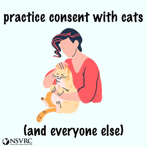 Practice-consent GIFs - Get the best GIF on GIPHY