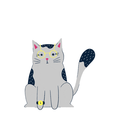 Cat Explosion GIFs - Find & Share on GIPHY