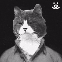 Best-foot-forward GIFs - Get the best GIF on GIPHY