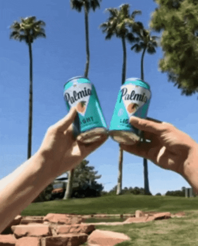 GIF by Palmia Beer - Find & Share on GIPHY