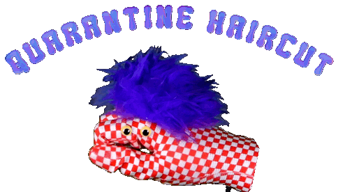 STAY HOME STAY SAFE GIFs on GIPHY - Be Animated