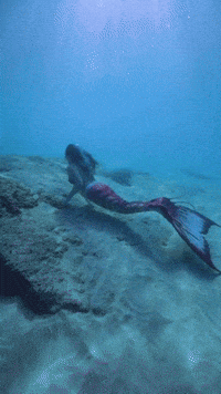 Swimming Mermaid Gif