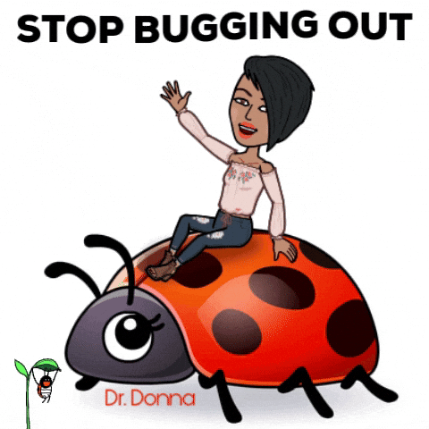 Stop Being So Annoying GIFs - Get the best GIF on GIPHY