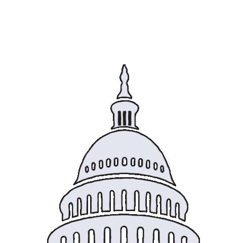 Washington Dc Usa Sticker by INTO ACTION for iOS & Android | GIPHY