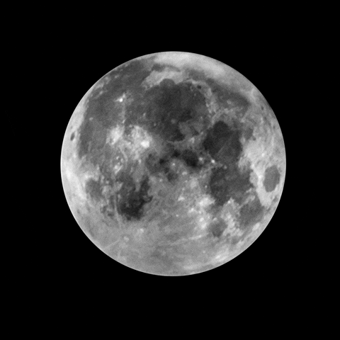 Full Moon GIF - Find & Share on GIPHY