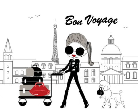 Bonvoyage GIFs - Get the best GIF on GIPHY