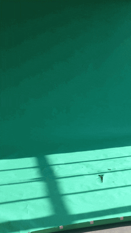 Jessame GIFs - Get the best GIF on GIPHY