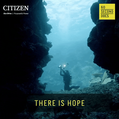 Power-dive GIFs - Get the best GIF on GIPHY