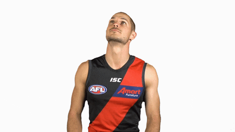 Essendon FC GIF - Find & Share on GIPHY