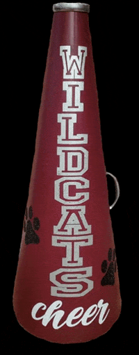 Wildcats Cheer GIFs - Get the best GIF on GIPHY