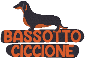 Dog Bassotto Sticker for iOS & Android | GIPHY