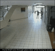 Running To Door GIFs - Find & Share on GIPHY