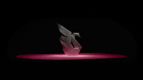 Cinema Swan GIF by The Marias - Find & Share on GIPHY