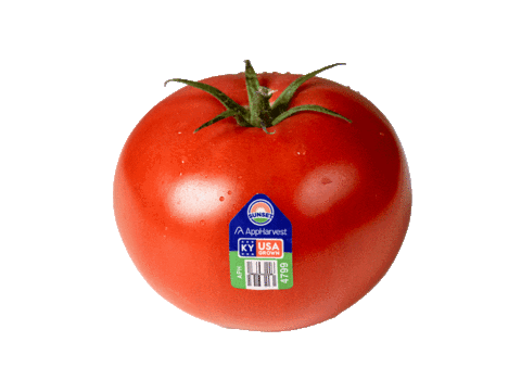 Tomatoes! GIFs on GIPHY - Be Animated