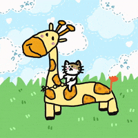 Newborn Giraffe Walking Gif